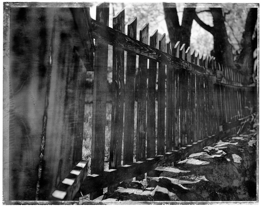 Instant(ish) Gratification and Solarization | Taylor Mahoney Photography